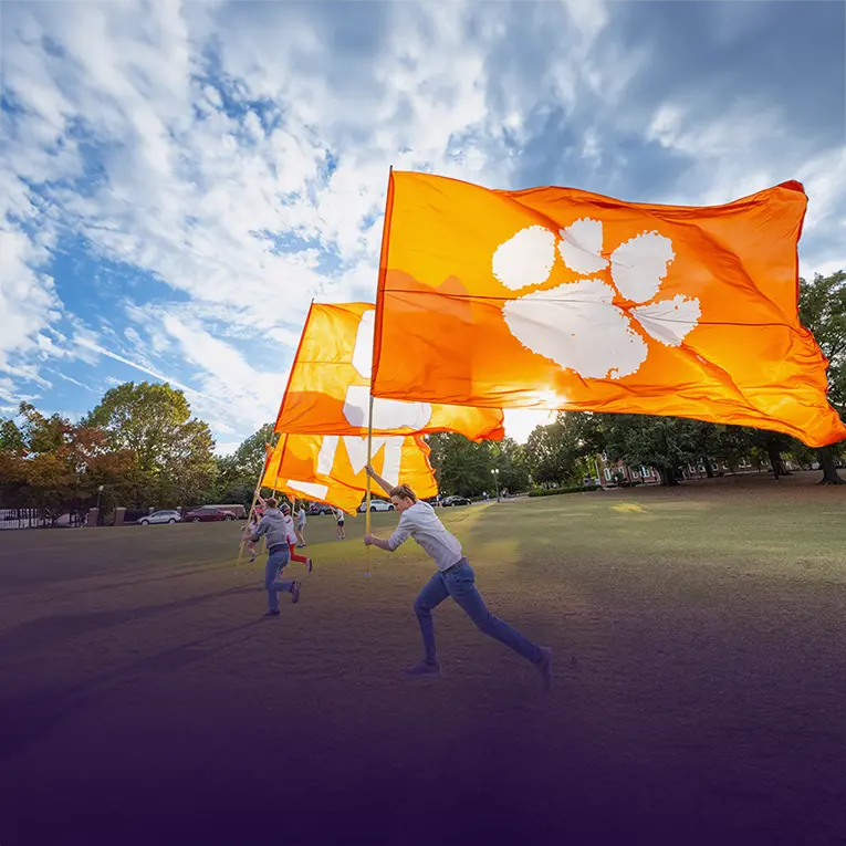 Clemson University, South Carolina