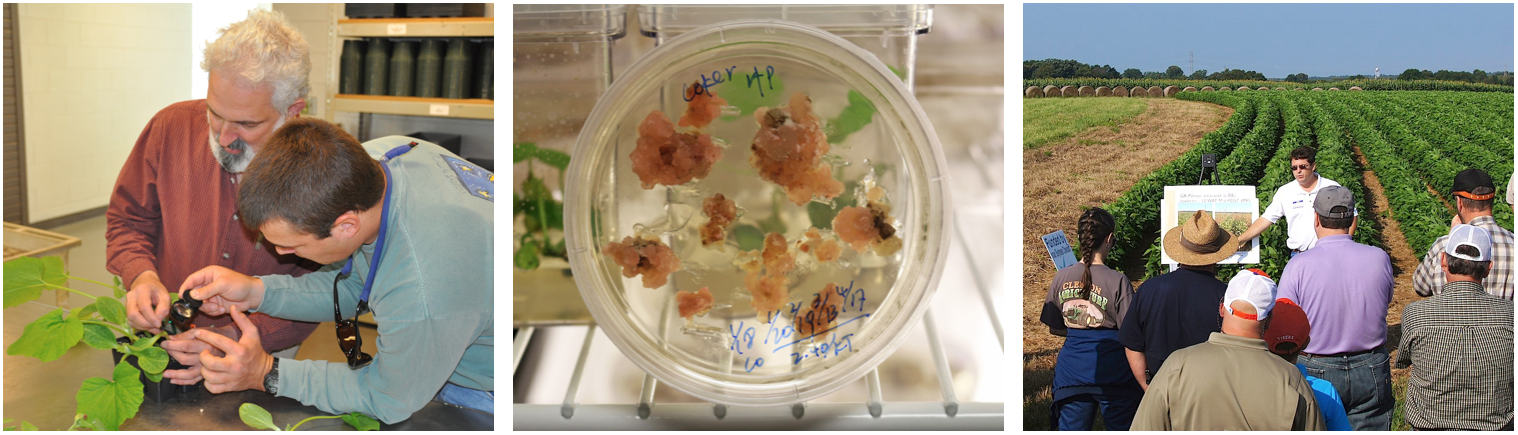 About the College of Agriculture, Forestry and Life Sciences | College ...