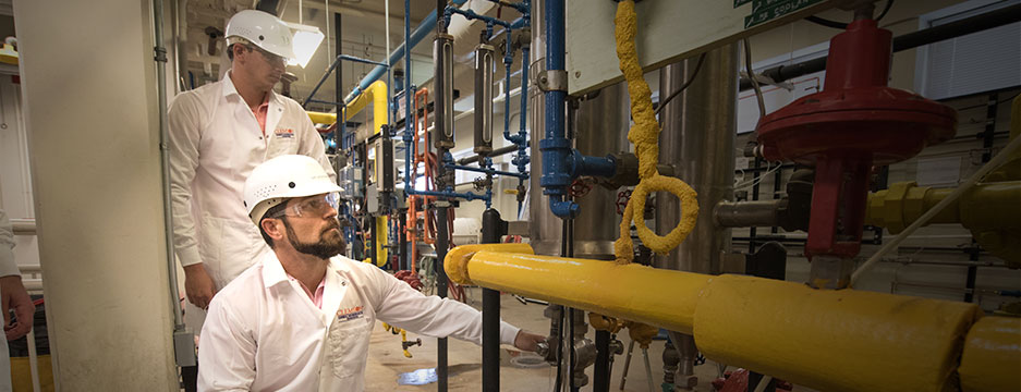 Undergraduate B.S. Degree | College of Engineering, Computing and ...