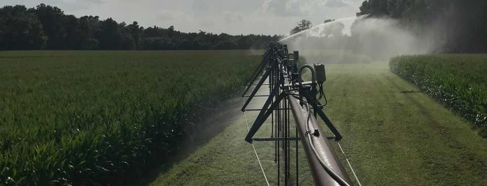 Corn - Clemson Precision Ag | College of Agriculture, Forestry and Life ...